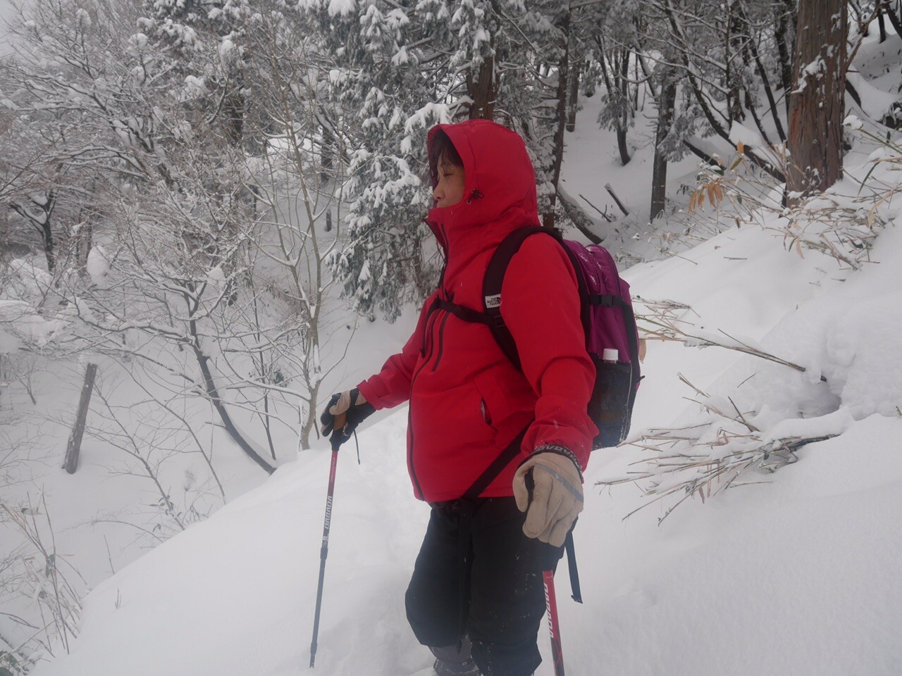 beeのページ | YAMAP / ヤマップ