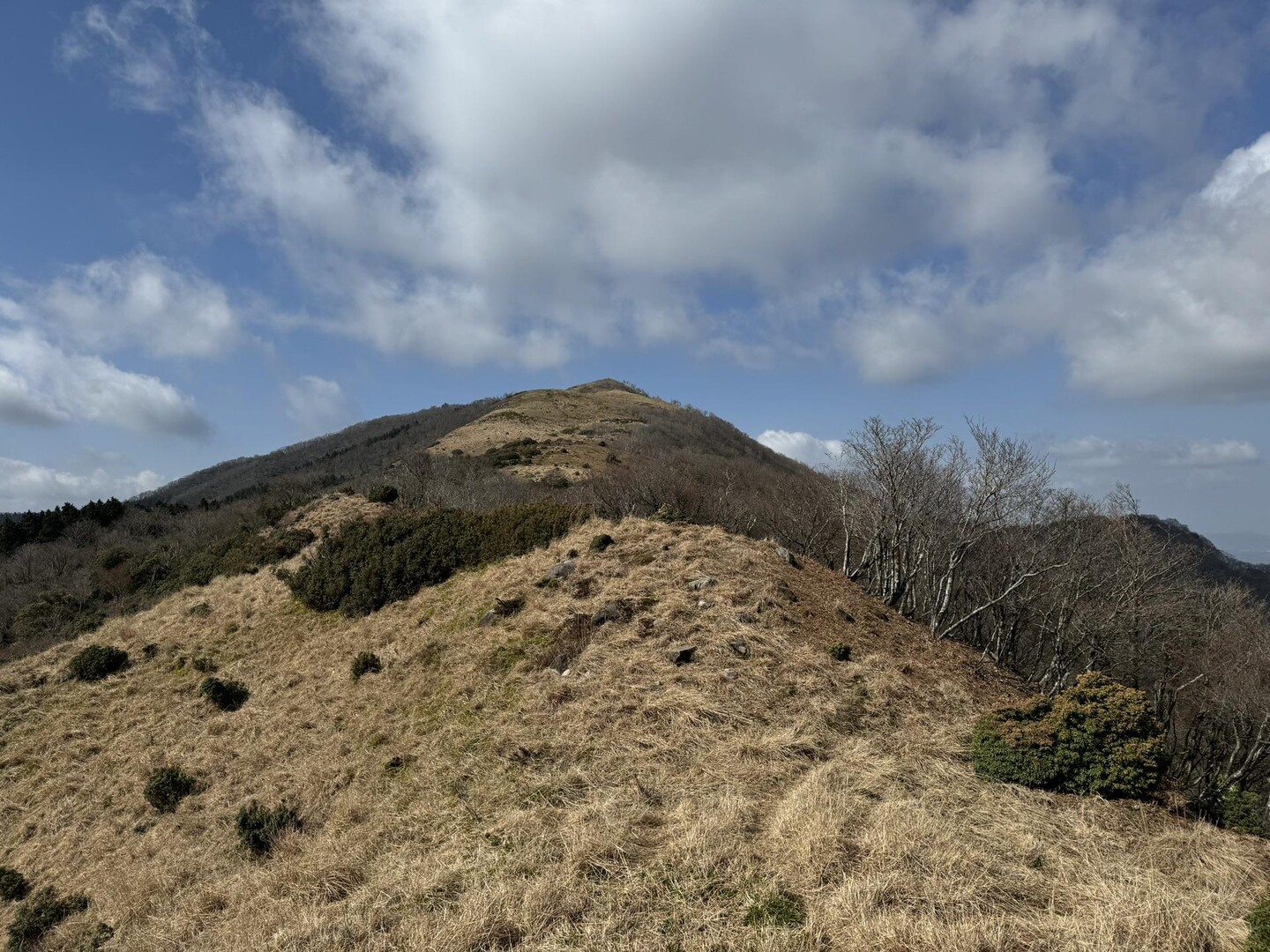 駆け込み綿向山周回 ️ワケあって予定変更😆 / hirosyさんの綿向山の活動データ | YAMAP / ヤマップ