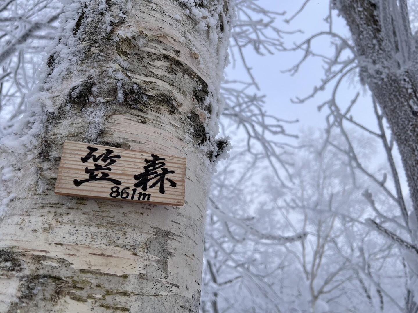 「笠森」 865m / FUM!さんの富良野西岳の活動データ | YAMAP / ヤマップ