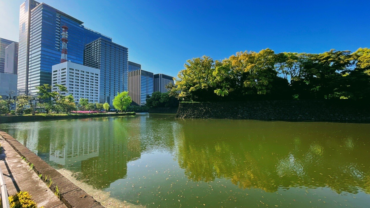 新緑が水面に映える平川門。通勤ウォークで... / Naotoさんのモーメント | YAMAP / ヤマップ