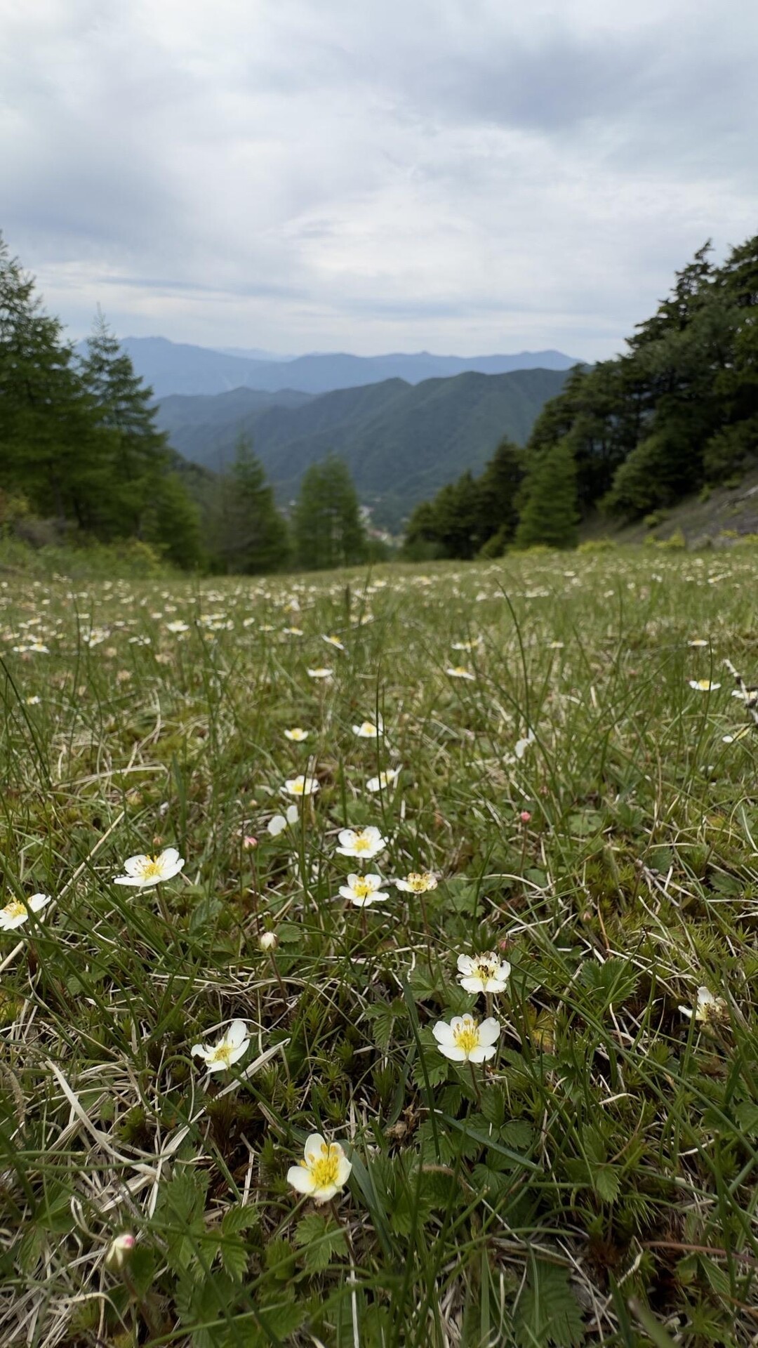 RED TOMさんの投稿したフィールドメモ | YAMAP / ヤマップ
