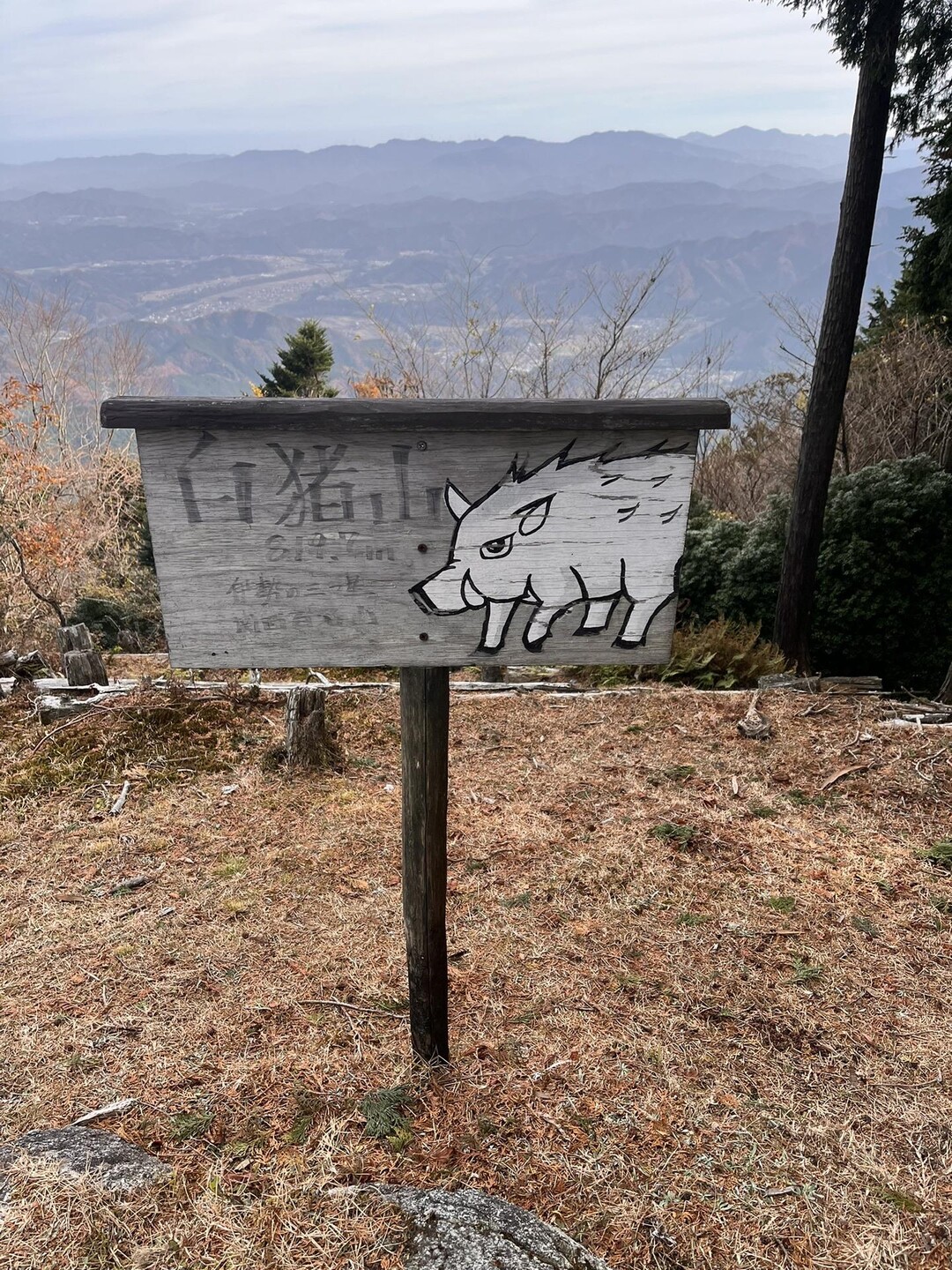 白猪山 夏明登山口ピストン / ta_ba8016さんの白猪山の活動データ | YAMAP / ヤマップ