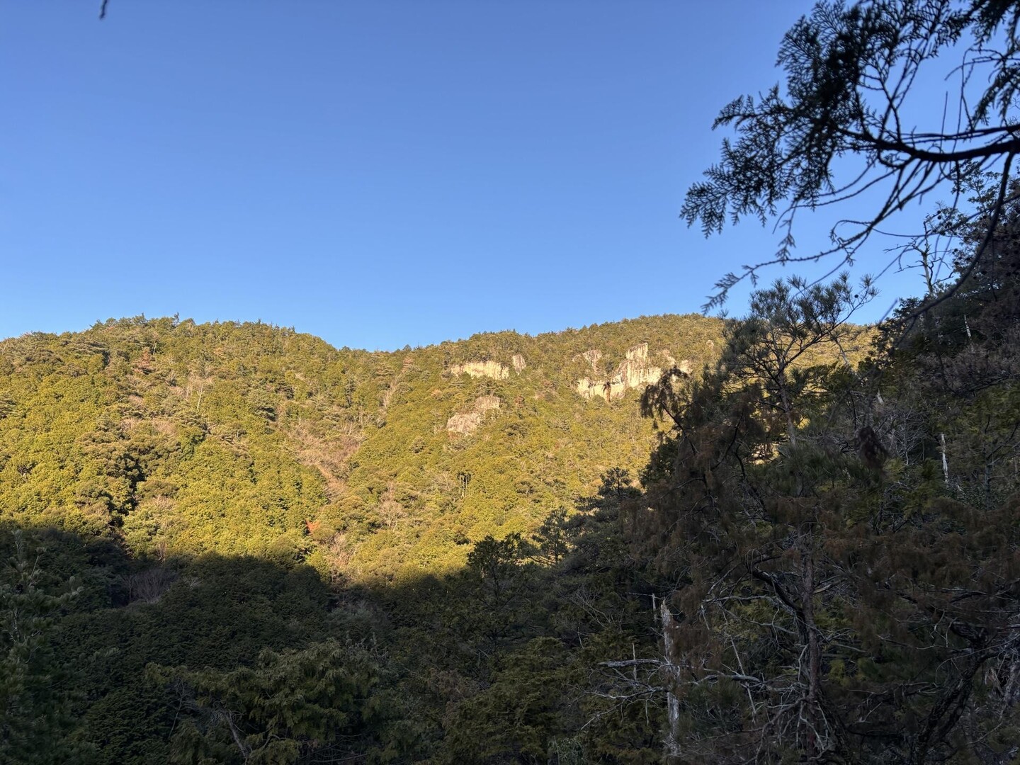 今日もササっと直登・栃ノ木沢ルートで明神山 / yuziさんの明神山（三ツ瀬明神山）の活動データ | YAMAP / ヤマップ