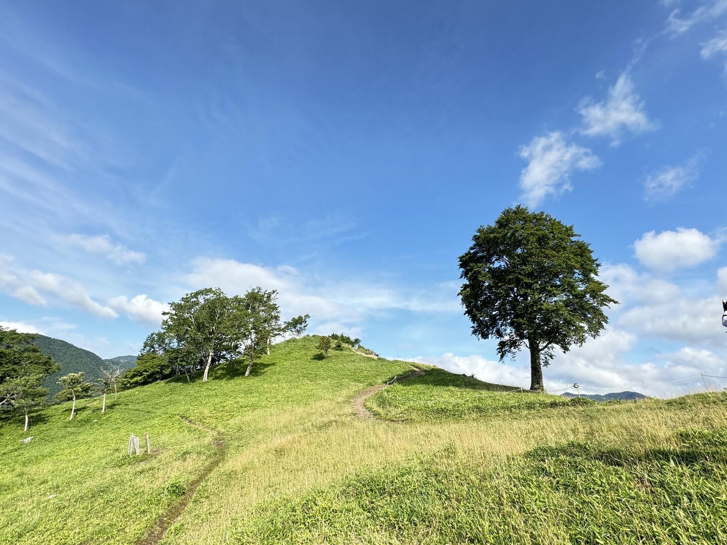 中倉山 鹿と猿とアヒルピーク / NBさんの皇海山・袈裟丸山・庚申山の活動データ | YAMAP / ヤマップ