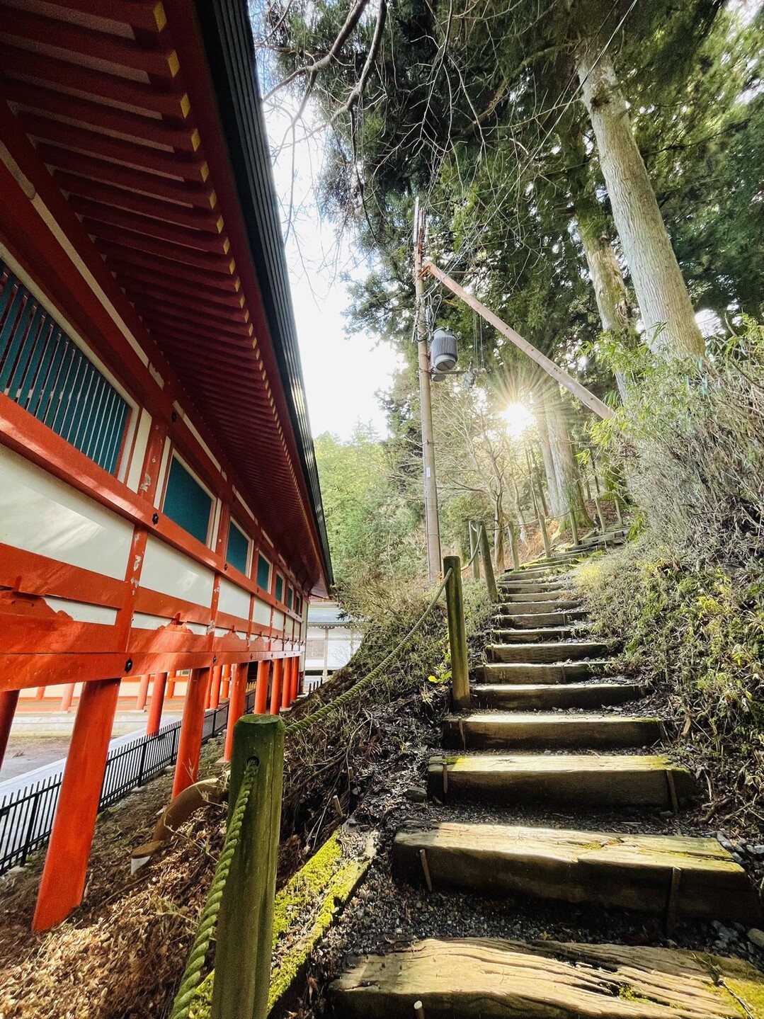 比叡山 / ya_ma_holicさんの比叡山・横高山・梶山の活動データ | YAMAP / ヤマップ