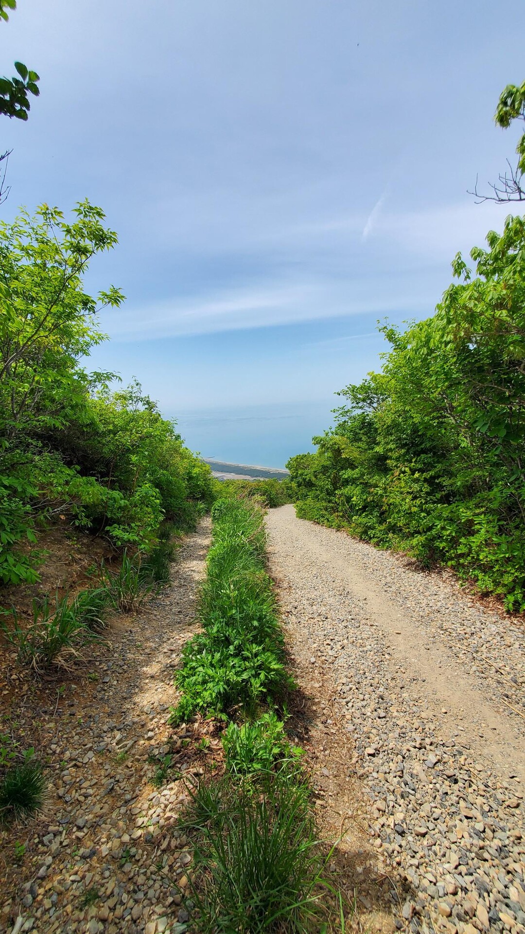 妻戸山・弥彦山(八牧沢より) / totoさんの弥彦山・多宝山・雨乞山の活動データ | YAMAP / ヤマップ