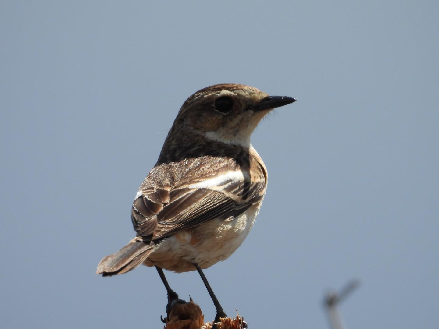 2025.04.20(日) 05:16 / masa@さんのモーメント | YAMAP / ヤマップ