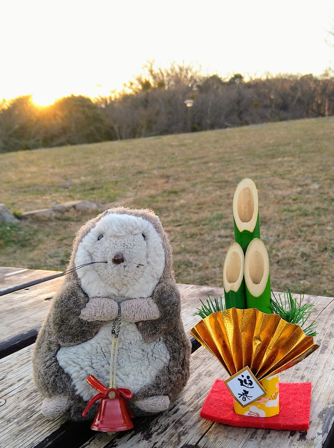 明けましておめでとうございます YAM... / ももちゃんさんのモーメント | YAMAP / ヤマップ