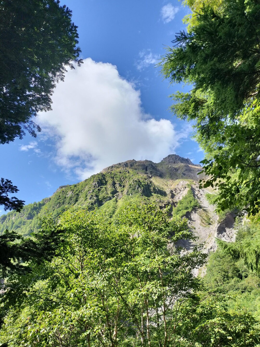 ソロ141 焼岳（北峰） / J.BOYさんの乗鞍岳の活動データ | YAMAP / ヤマップ