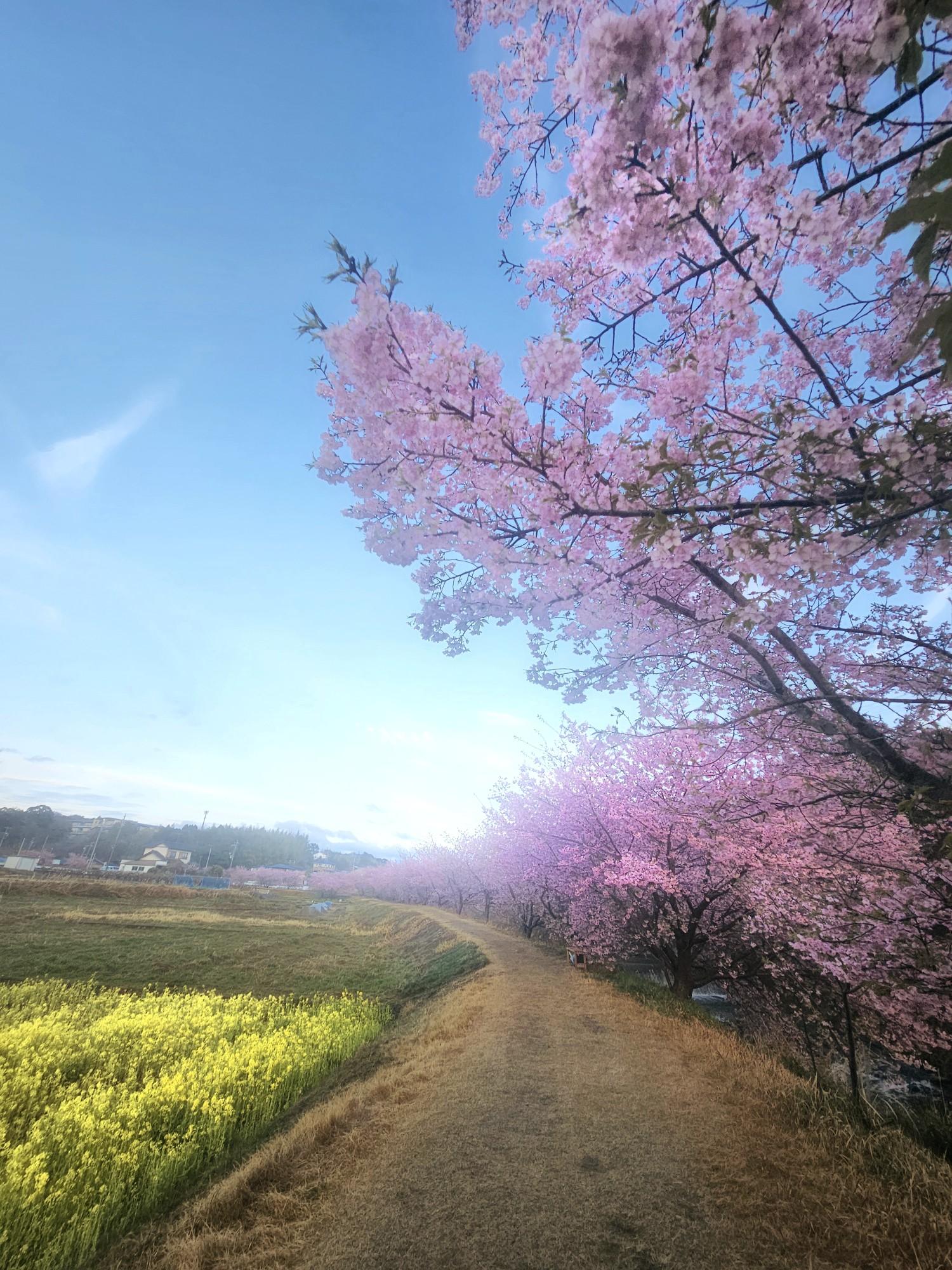 1日雨ふり☔でお山行けずでしたが、夕方か... / U-ME(うめ)さんのモーメント | YAMAP / ヤマップ