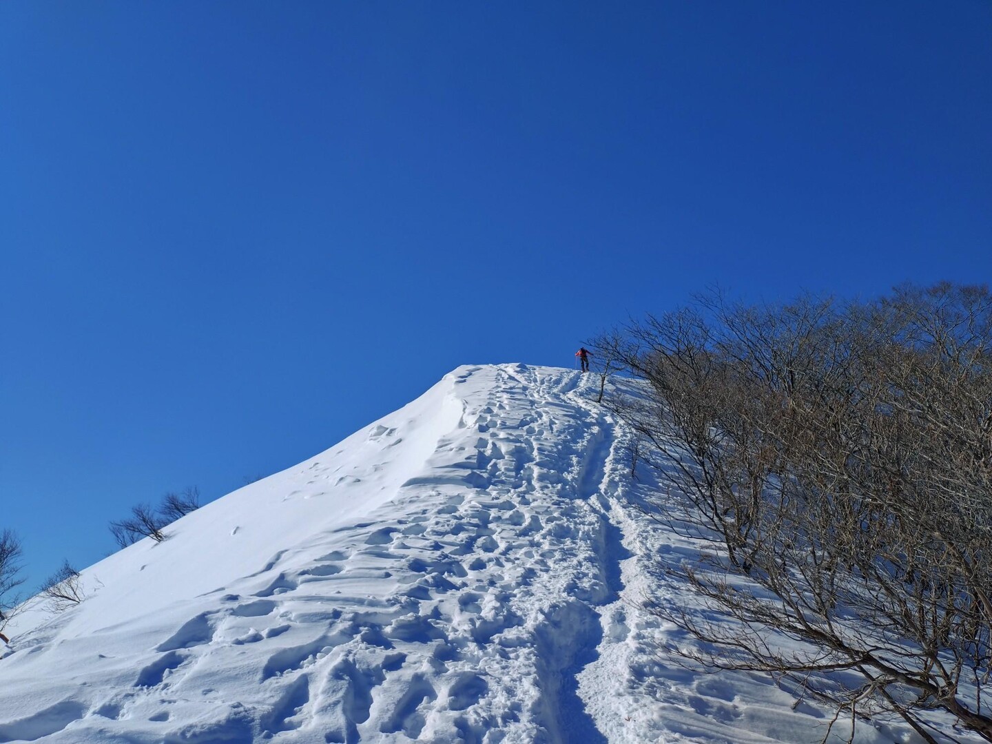 小貝月山・貝月山 / shi-ruさんの貝月山の活動日記 | YAMAP / ヤマップ