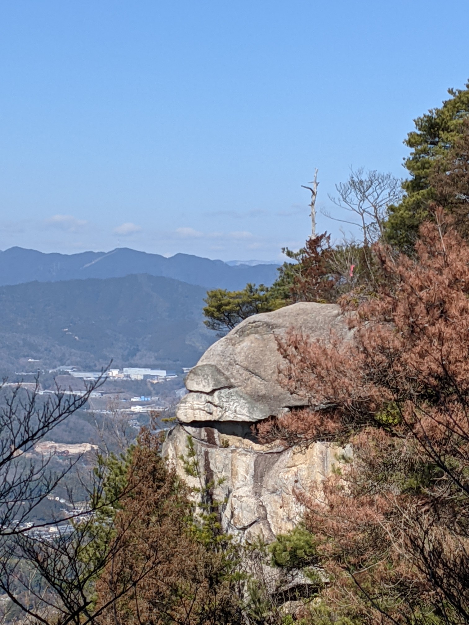 LEMON🍋さんの投稿したフィールドメモ | YAMAP / ヤマップ