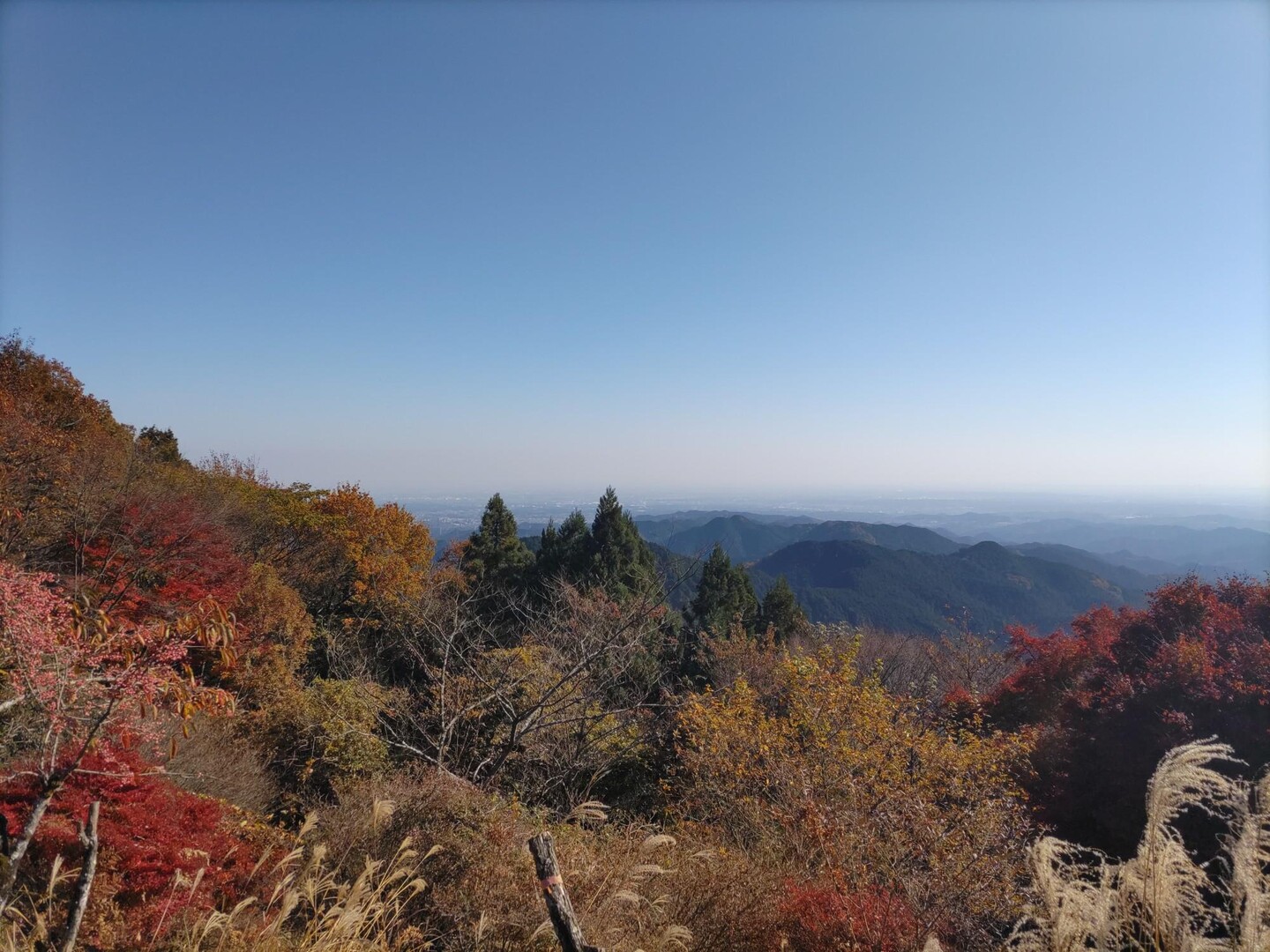日影山・丸山・関八州見晴台 / zattonさんの関八州見晴台の活動データ | YAMAP / ヤマップ