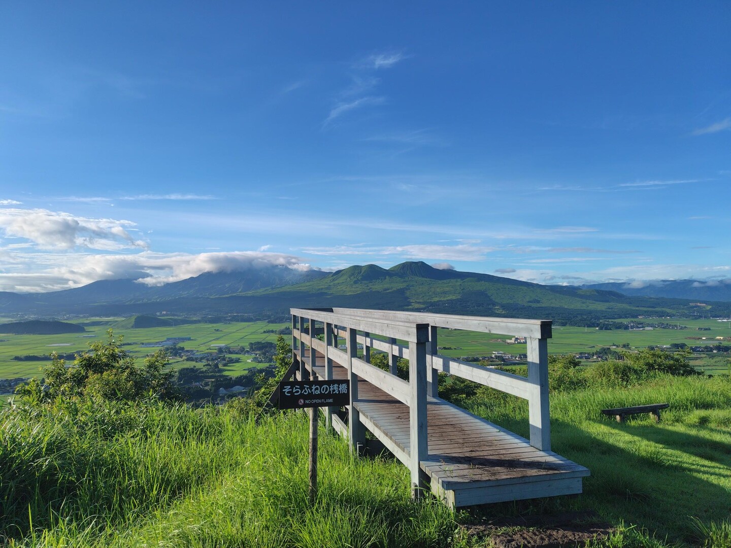田子山 / Emily (咲梨) 𖤣𖥧𖥣｡𓂃𓈒さんの田子山の活動データ | YAMAP / ヤマップ