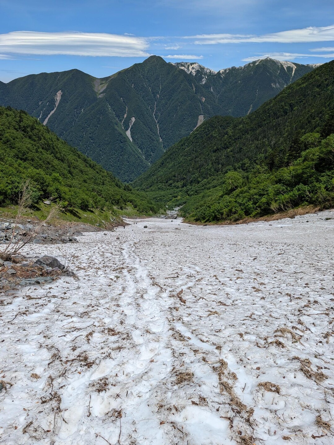 北岳 / nicomomoさんの北岳・間ノ岳・農鳥岳の活動データ | YAMAP / ヤマップ