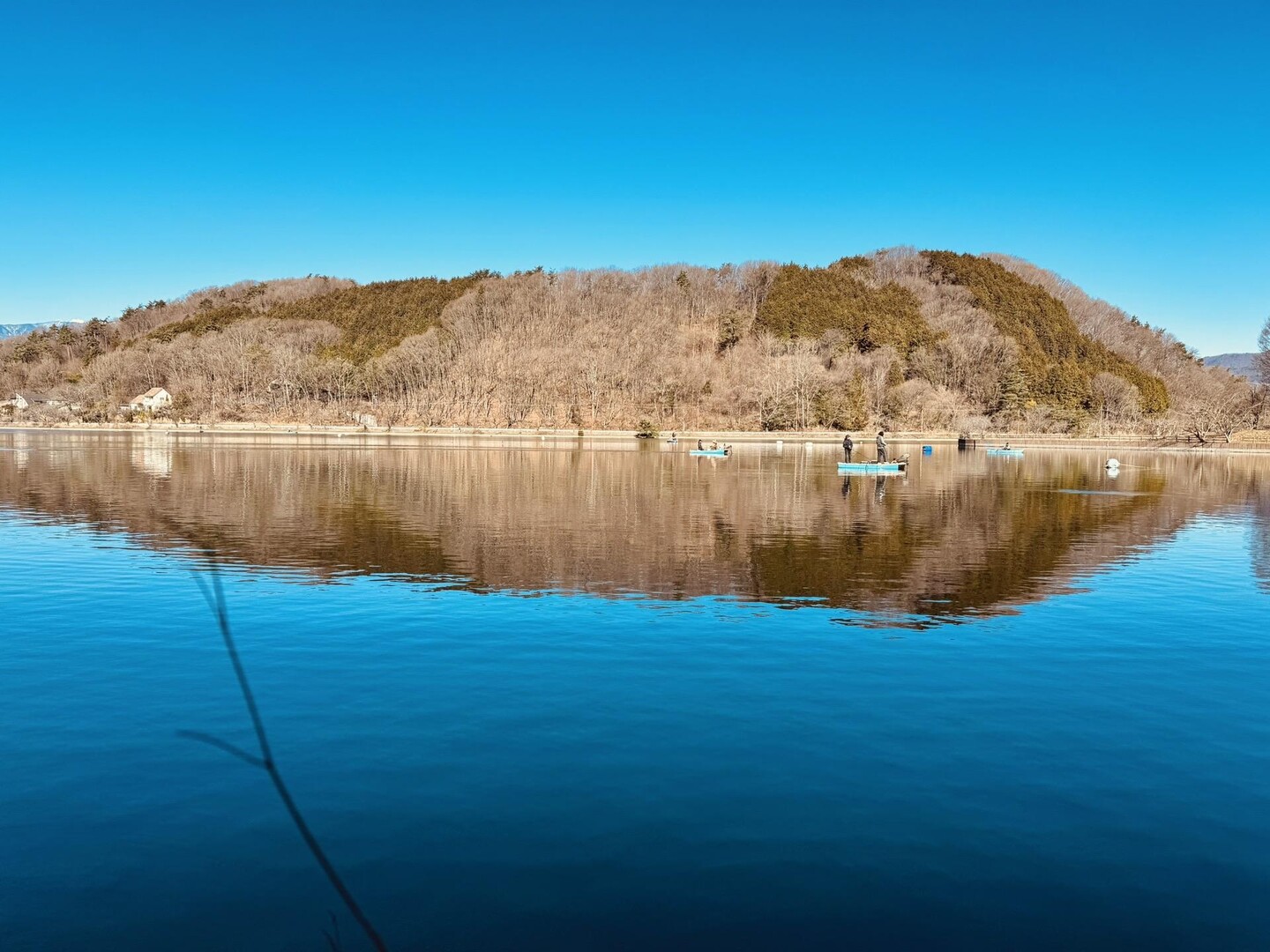 湯村山・法泉寺山・八王子山（白山） / amuさんの興因寺山・淡雪山・八王子山の活動データ | YAMAP / ヤマップ