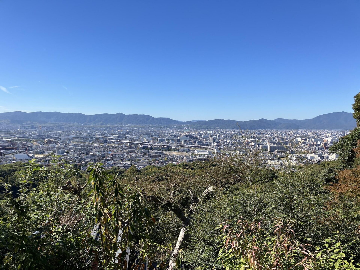 稲荷山・西野山 / Martyさんの京都一周トレイルの活動データ | YAMAP / ヤマップ