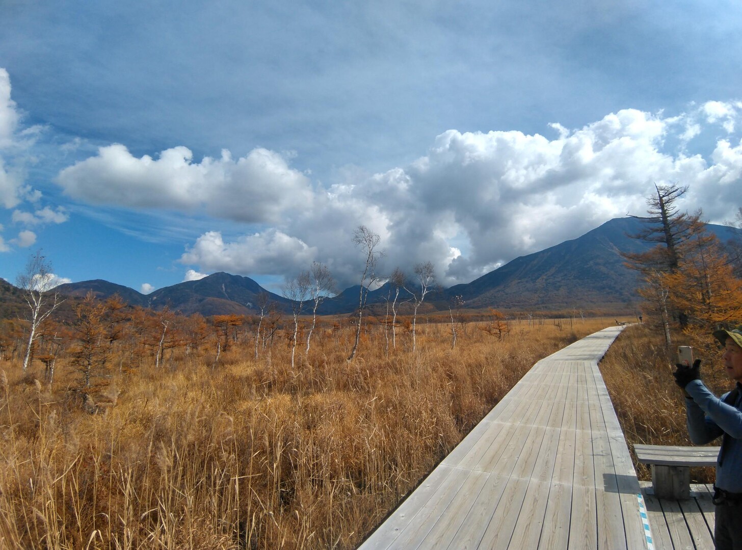 黄金!?戦場ヶ原ハイク / totoさんの男体山の活動データ | YAMAP / ヤマップ