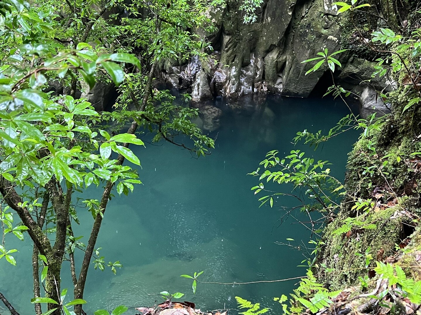 双石山・花切山・岩壺山-2024-01-20 / NPO IC Explorersさんの双石山・花切山・岩壺山の活動データ | YAMAP / ヤマップ