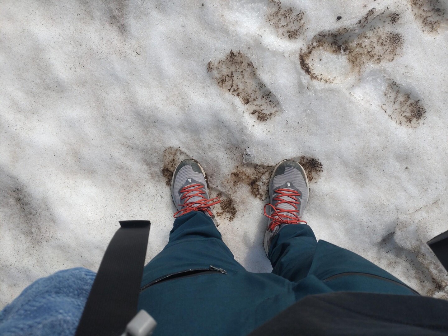 竜ヶ岳リハビリ登山 / ks104478さんの竜ヶ岳の活動データ | YAMAP / ヤマップ