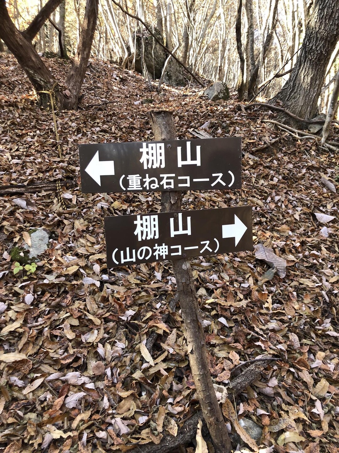 棚山前こぶ・棚山 / tentenさんの要害山・兜山・大蔵経寺山の活動データ | YAMAP / ヤマップ