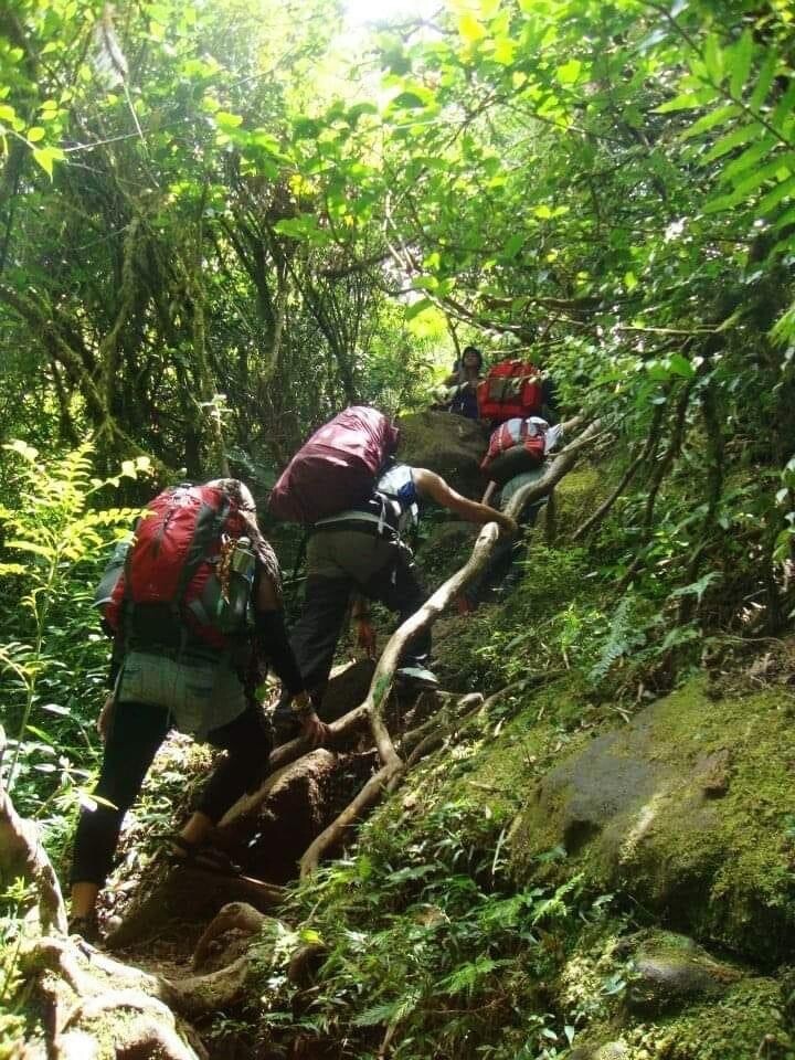 旅行やツアーにハイキングが含まれていない... / Corneさんのモーメント | YAMAP / ヤマップ