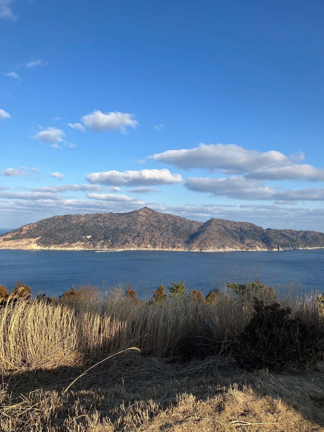 みちのくトレイル-2024-01-19 御番所山 / イアソン1970さんの金華山・牡鹿半島の活動データ | YAMAP / ヤマップ