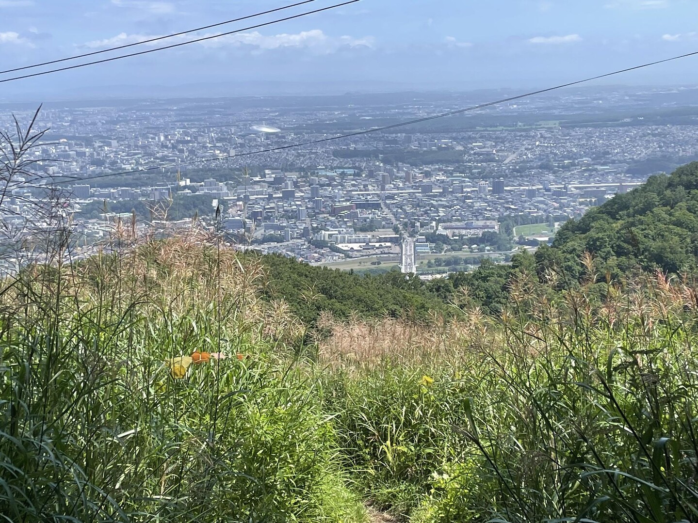 藻岩山via豊平川(ランニング+登山) / piimakoさんの藻岩山の活動データ | YAMAP / ヤマップ