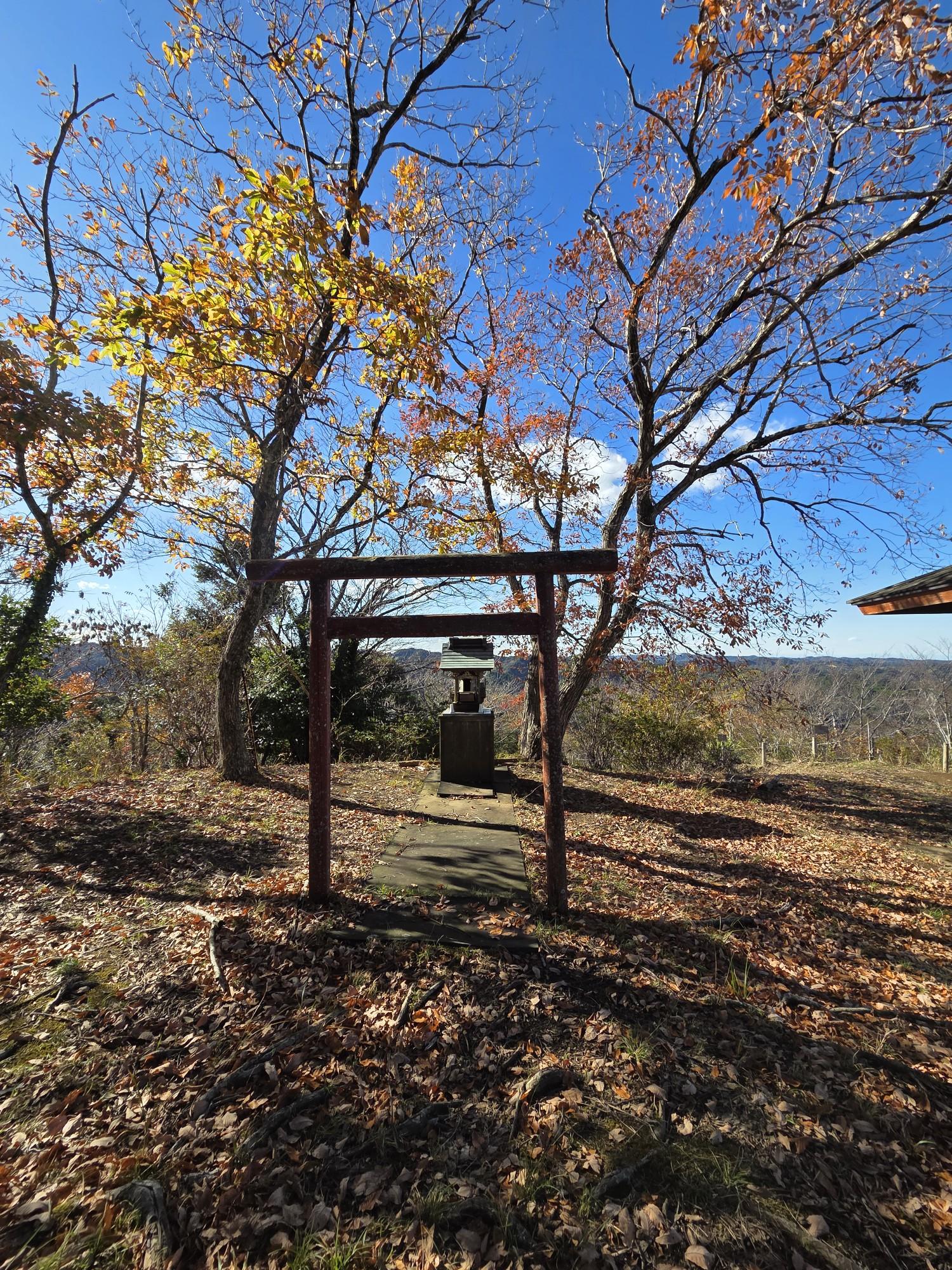 お墓参りのついでに 大塚山 / ETSUKO さんの大塚山の活動データ | YAMAP / ヤマップ