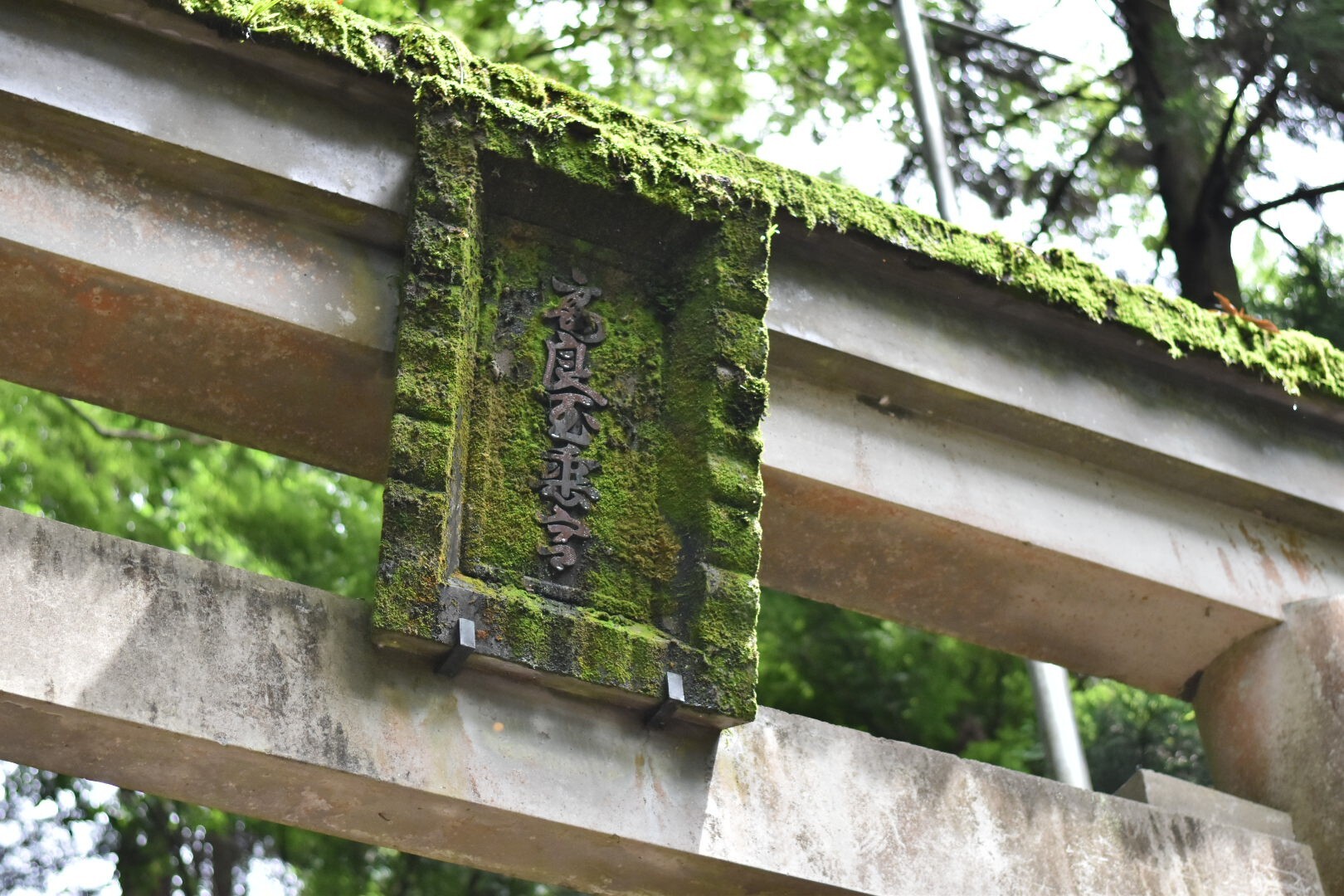 カメラ片手に高良山ヘ行って来ました。 ... / ツチノコさんのモーメント | YAMAP / ヤマップ