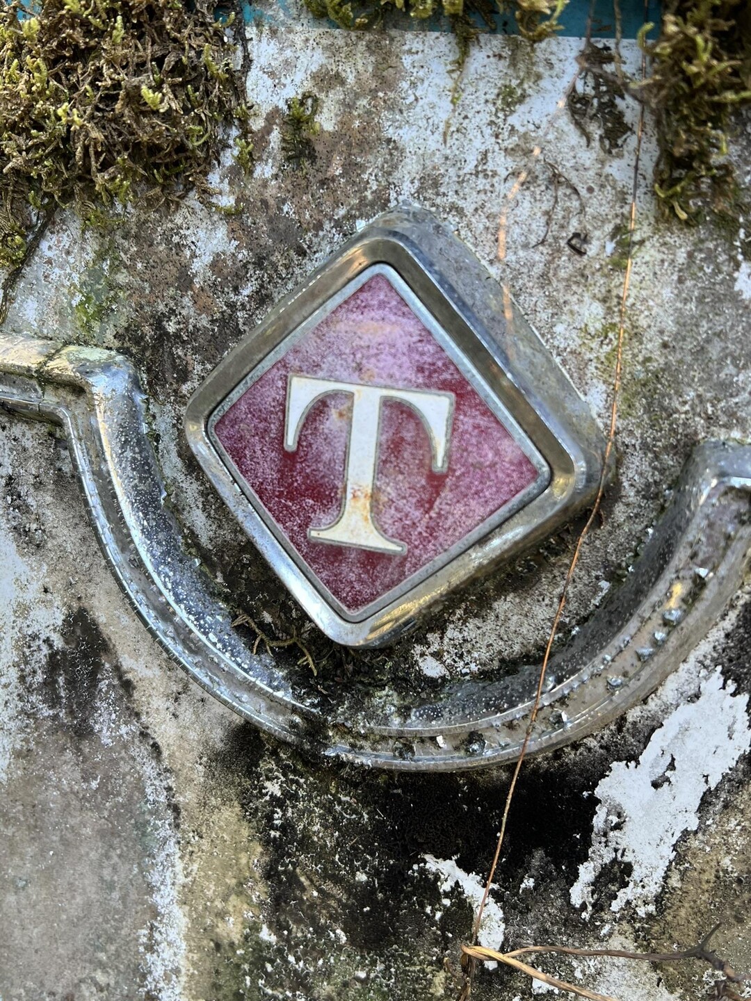 今日はここっ☝️ 神出ノ峰 / namisuke🐝さんの神出ノ峰の活動データ | YAMAP / ヤマップ