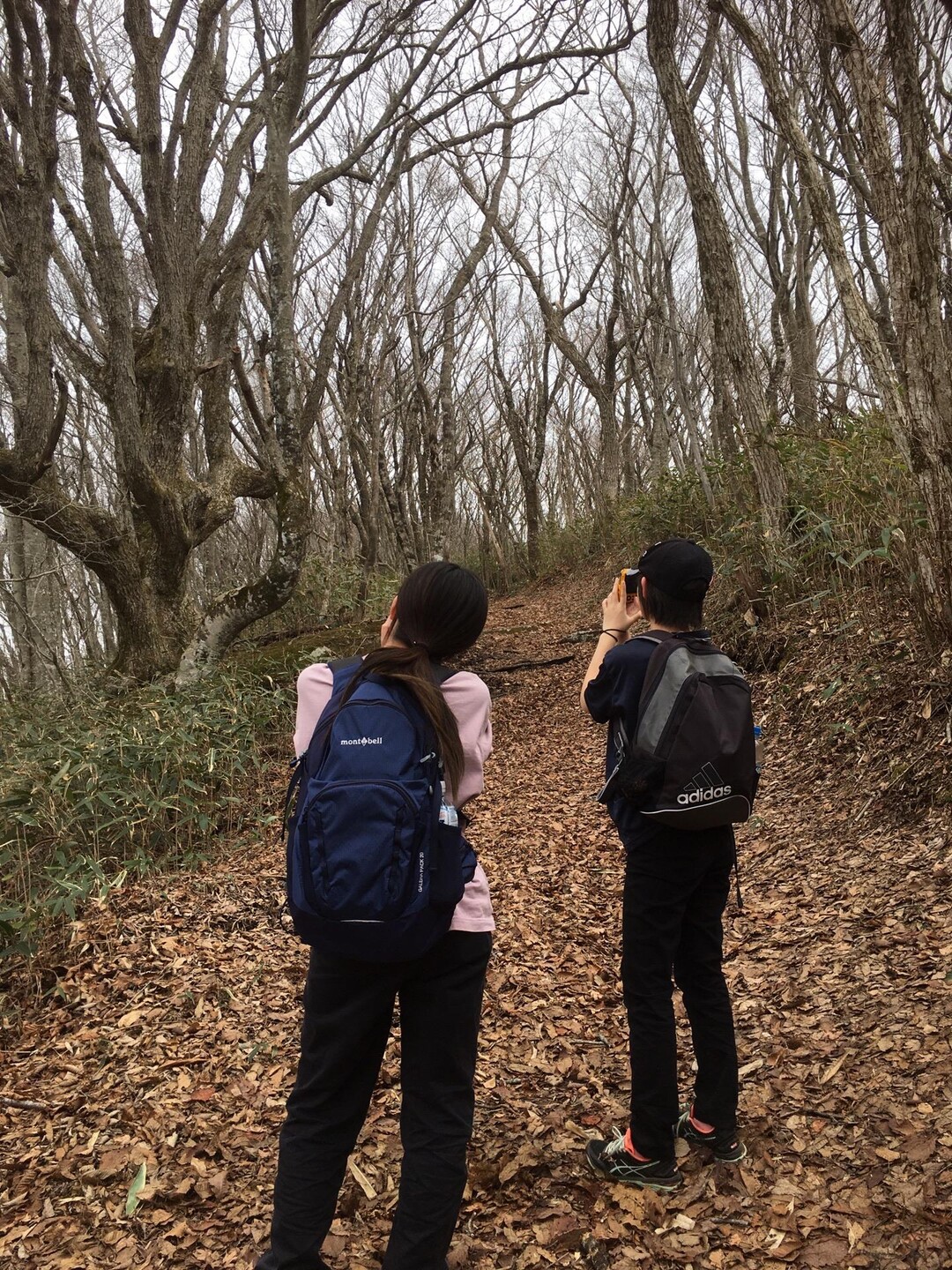 日山(天王山) / uraraさんの日山（天王山）の活動データ | YAMAP / ヤマップ