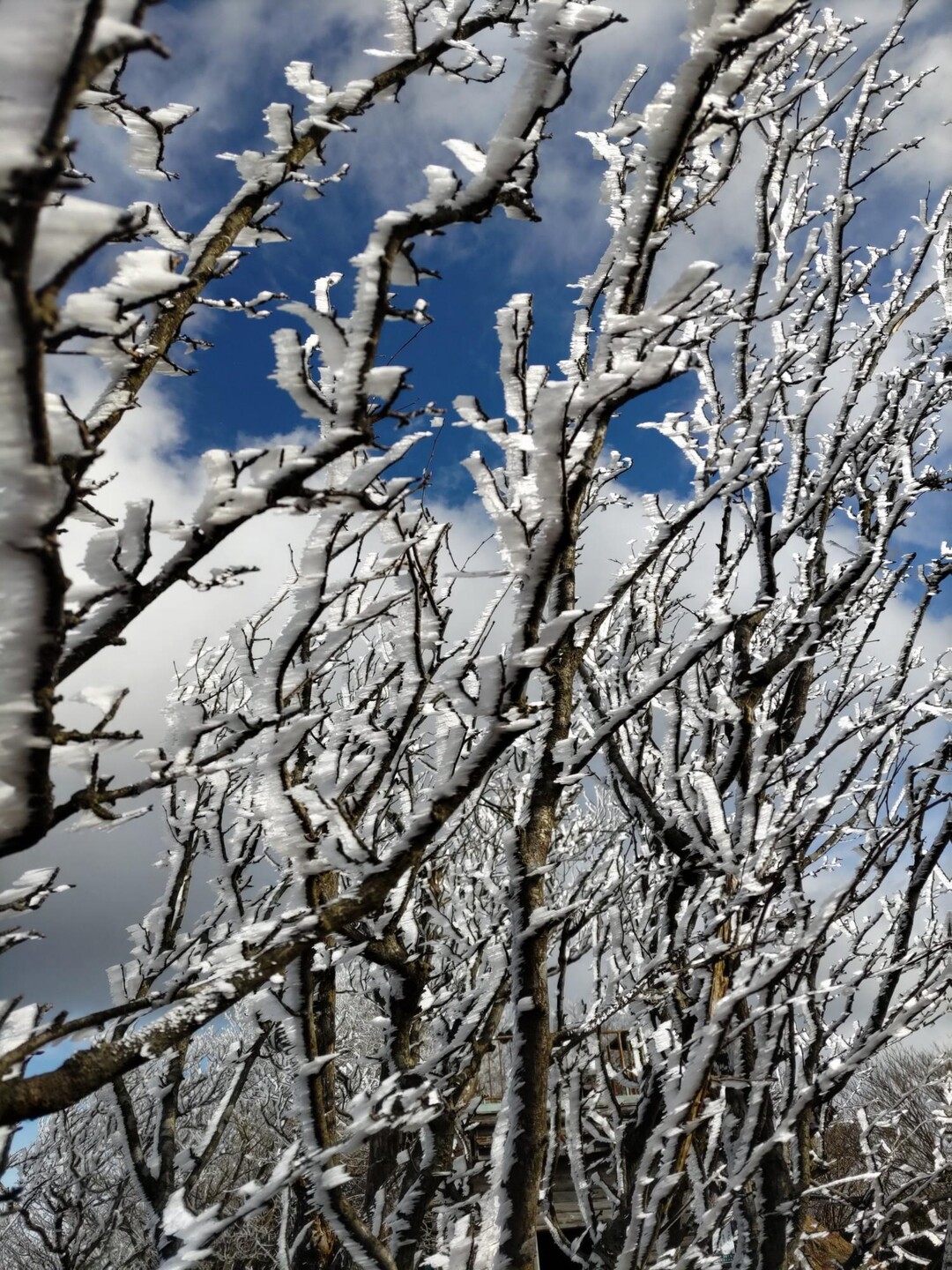 霧氷の高見山 / T64さんの高見山・黒石山・天狗山の活動データ | YAMAP / ヤマップ