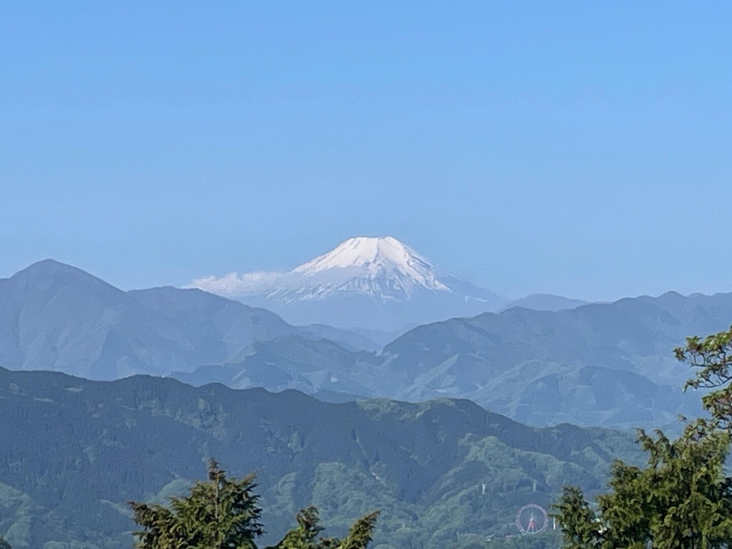GW4/28_高尾山_6号路⇄稲荷山コース / JINXさんの高尾山・陣馬山・景信山の活動データ | YAMAP / ヤマップ