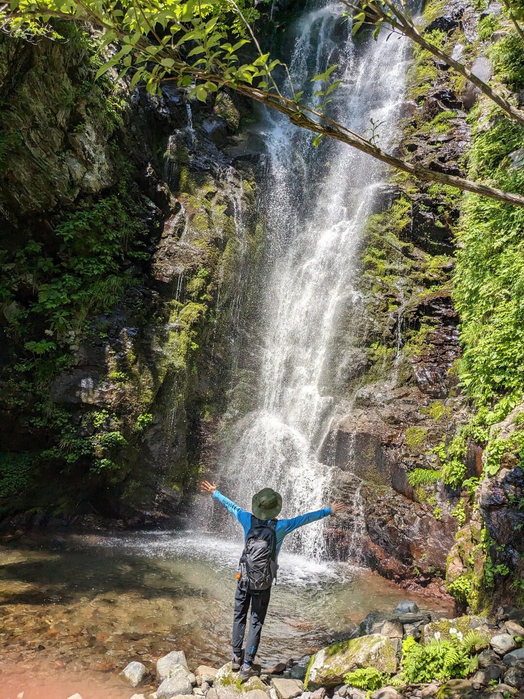 取立山-2023-06-18 / HIDEさんの取立山の活動データ | YAMAP / ヤマップ