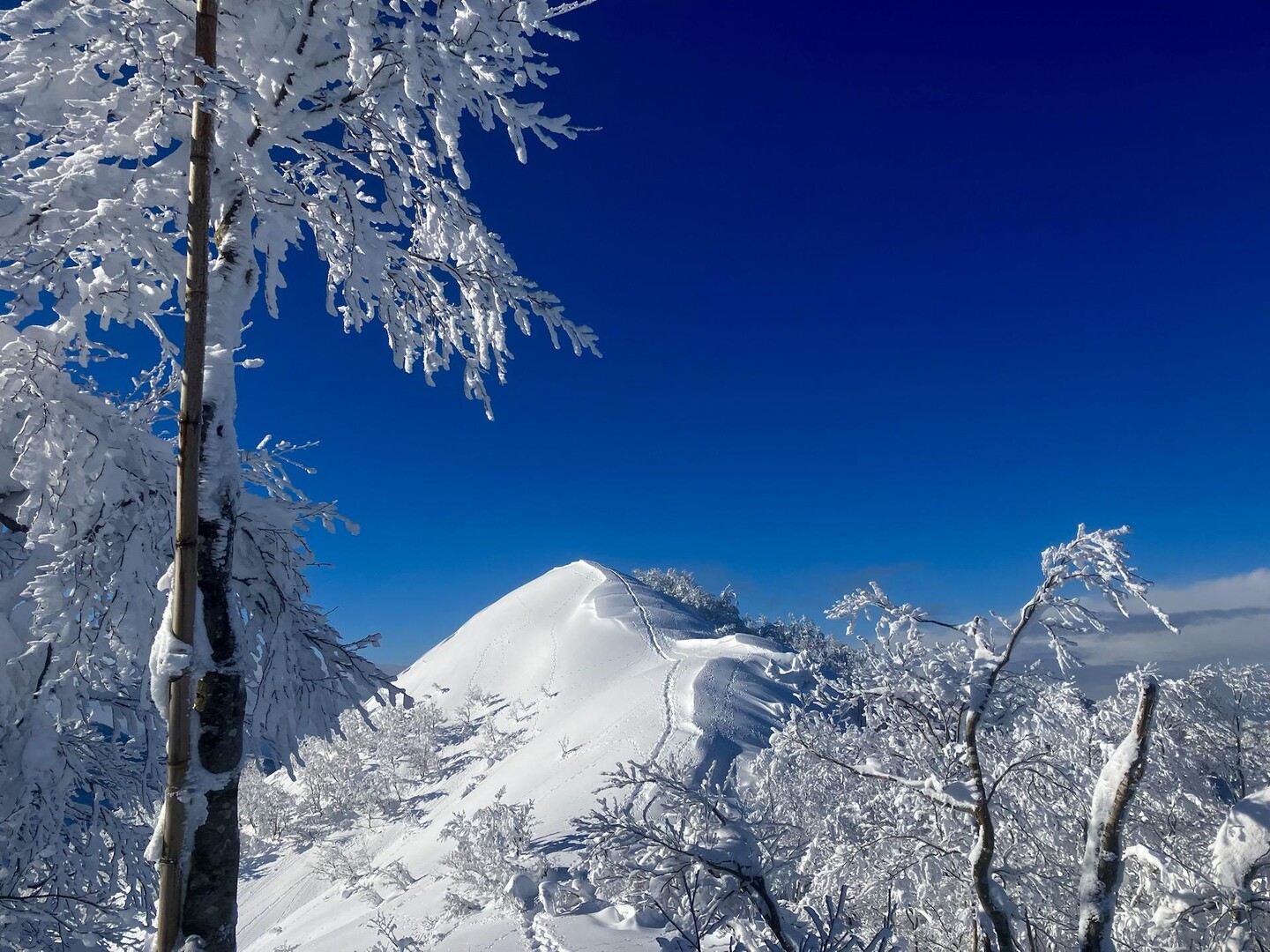 五頭ブルーと雲海🏔️☁️ ︎前一ノ峰 / Naluさんの五頭山・菱ヶ岳・宝珠山の活動日記 | YAMAP / ヤマップ