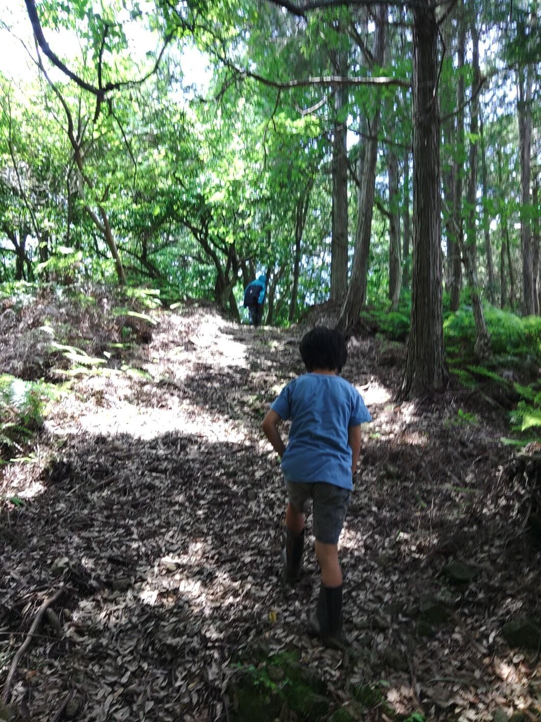 姶良市ふれあいの森 / actさんの姶良市の活動データ | YAMAP / ヤマップ