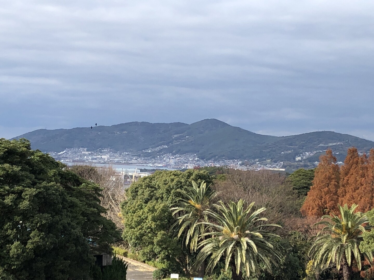 今日は山ではないけど自然を感じることがで... / ピノコさんのモーメント | YAMAP / ヤマップ