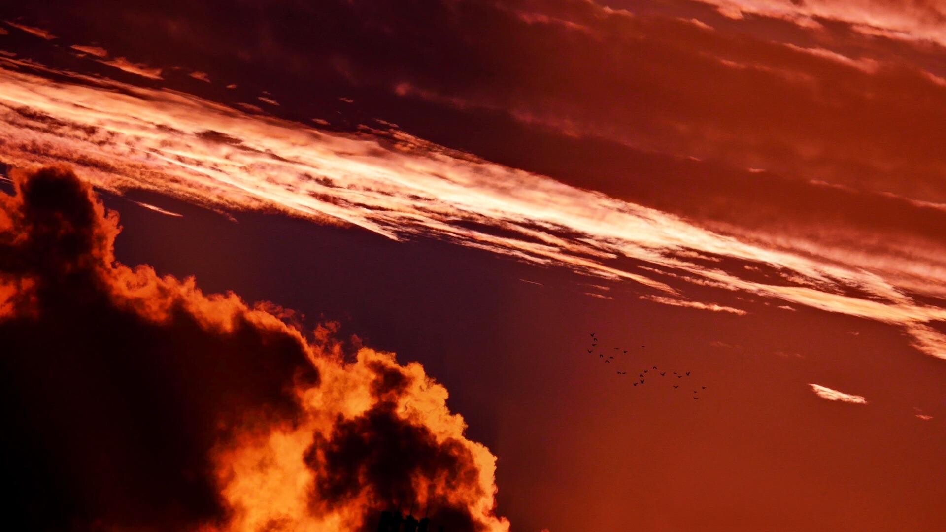 年寄りの朝は早い〜今朝はムクドリ（？）の... / ziziさんのモーメント | YAMAP / ヤマップ