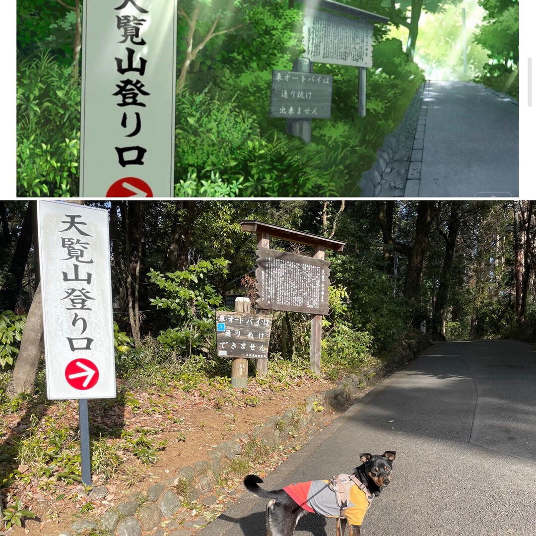 ヤマノススメ聖地巡礼☆天覧山・多峯主山 / KAORIさんの天覧山・多峯主山・天覚山の活動データ | YAMAP / ヤマップ