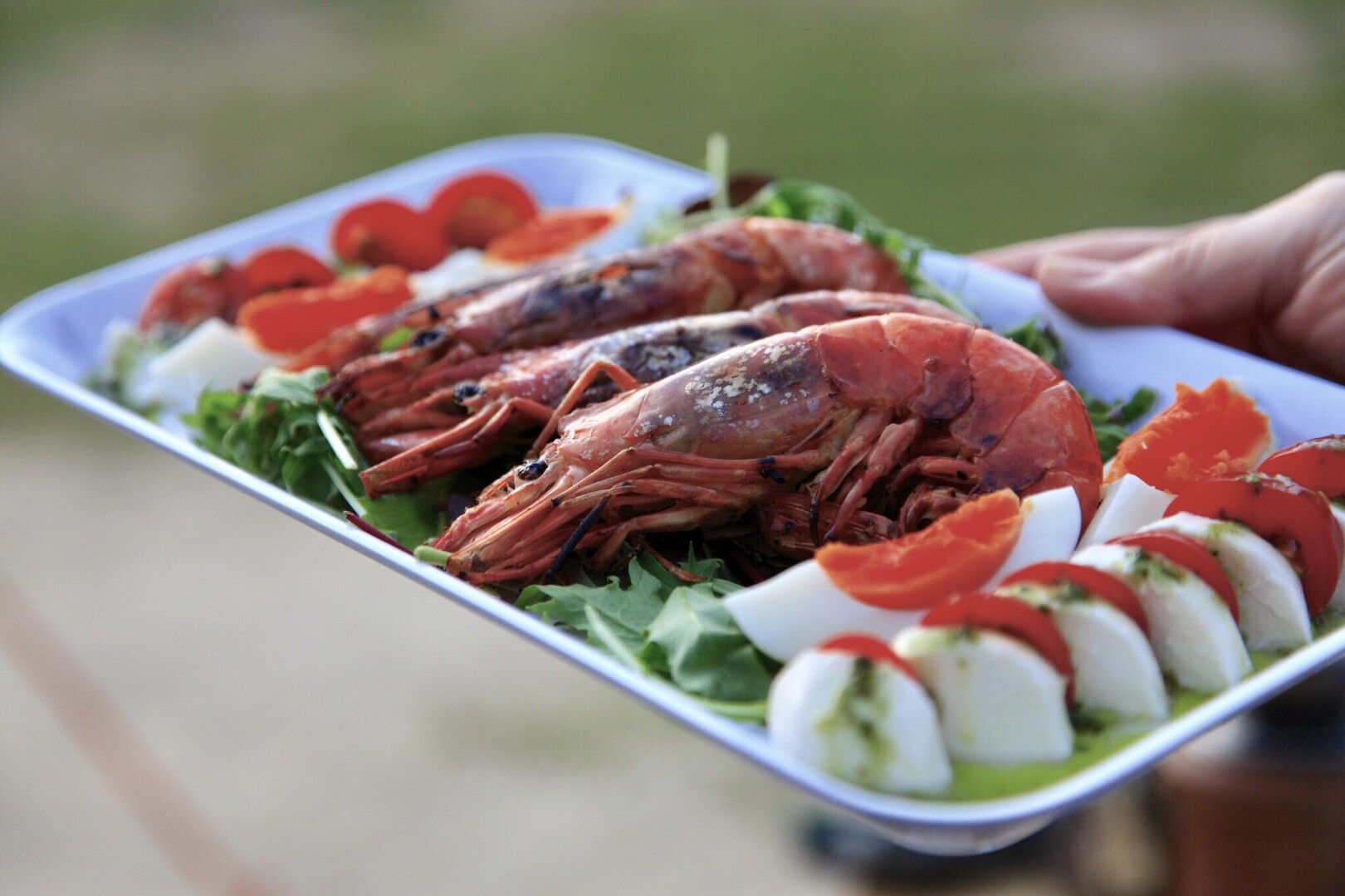 2019-05-14.15 行ってきました！吉野山キャンプ場→金山 / kirarinさんの脊振山・金山の活動データ | YAMAP / ヤマップ