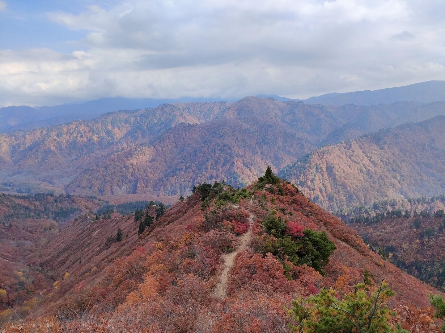 平ヶ岳【95/100】 / junさんの平ヶ岳・台倉山・池ノ岳の活動データ | YAMAP / ヤマップ