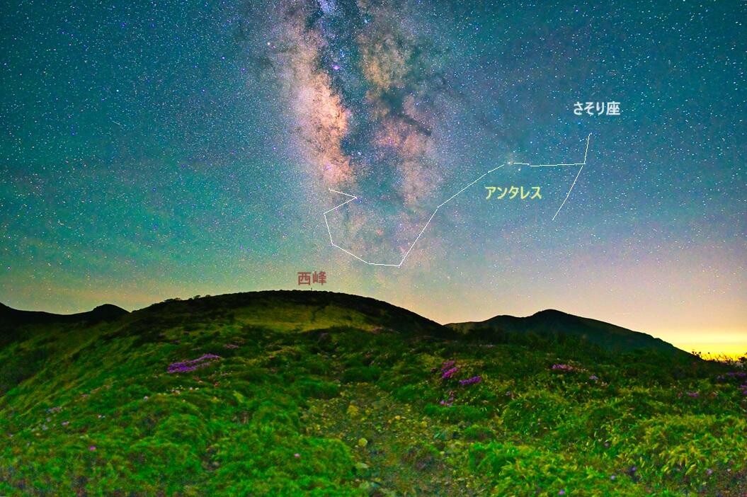 三俣山西峰からの天の川とミヤマキリシマ（R6.6.3～4）② / としちゃんさんの九重山（久住山）・大船山・星生山の活動データ | YAMAP / ヤマップ
