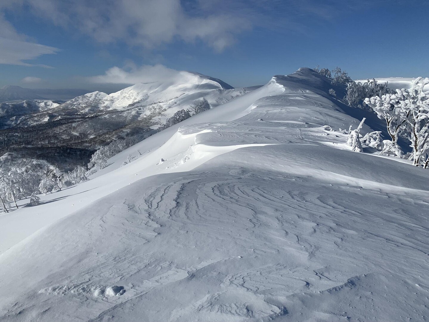 朝喝☆ラッセル☆白井岳BC / bono.さんの余市岳・定山渓天狗岳の活動データ | YAMAP / ヤマップ