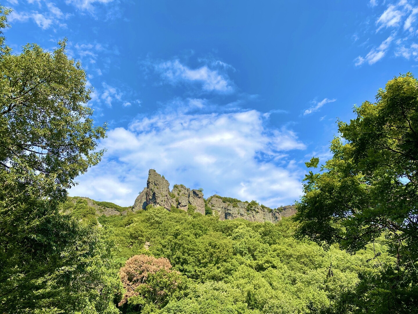 三笠山・星ヶ城山(嶮岨山) 周回コース 2022-08-13 / Allyさんの小豆島・星ヶ城山・皇踏山の活動データ | YAMAP / ヤマップ