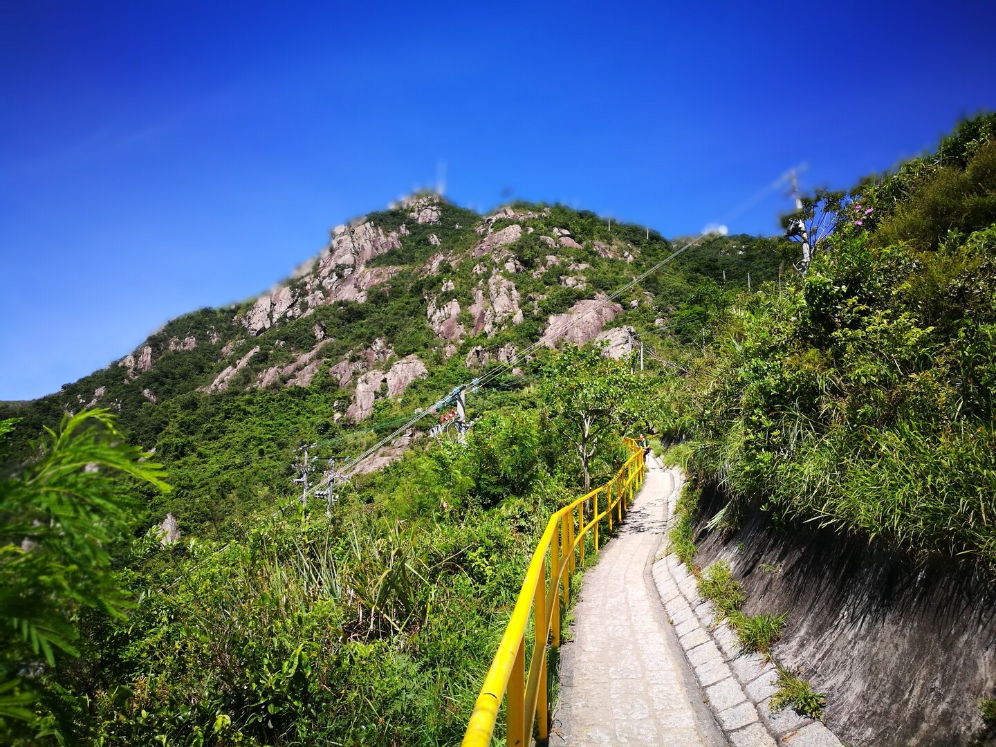 20200718 青山(キャッスルピーク) / Eno-chanさんの林村郊野公園の活動データ | YAMAP / ヤマップ