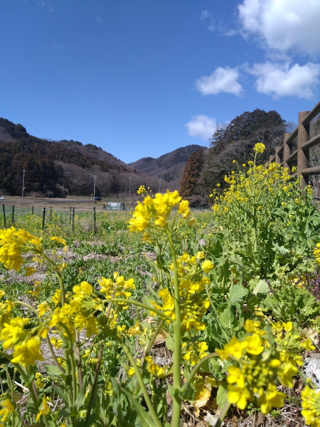 太平山・晃石山・青入山 / nanakoさんの太平山・晃石山・唐沢山の活動データ | YAMAP / ヤマップ