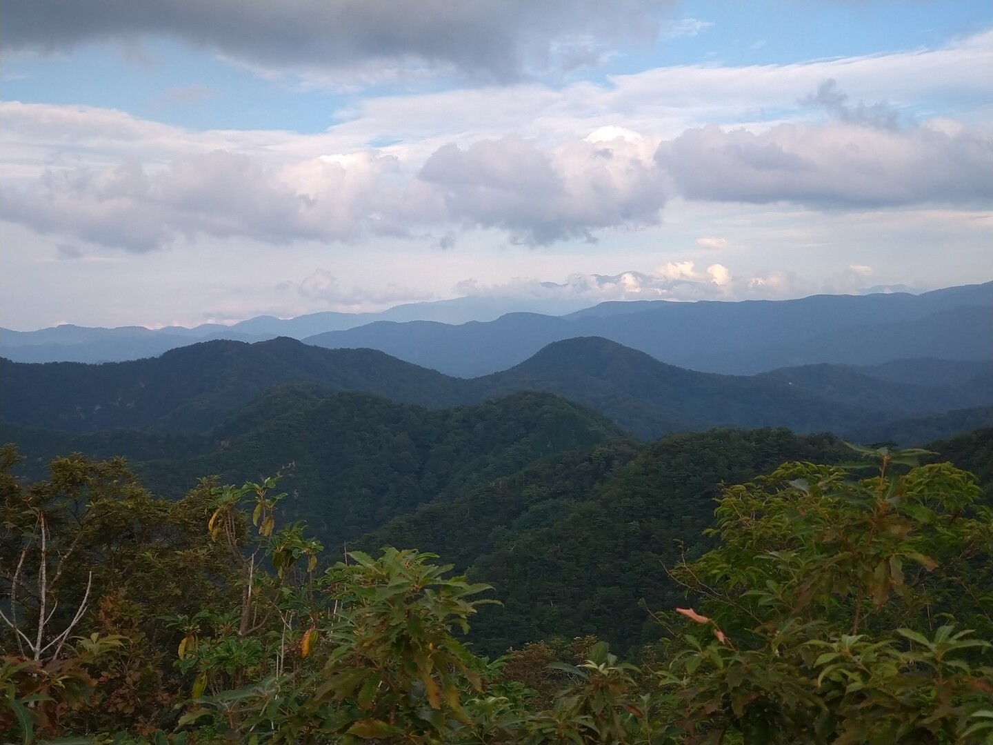 鞍掛山山歩 21ー017 wt.そこそこ / toshiさんの登山の活動データ | YAMAP / ヤマップ