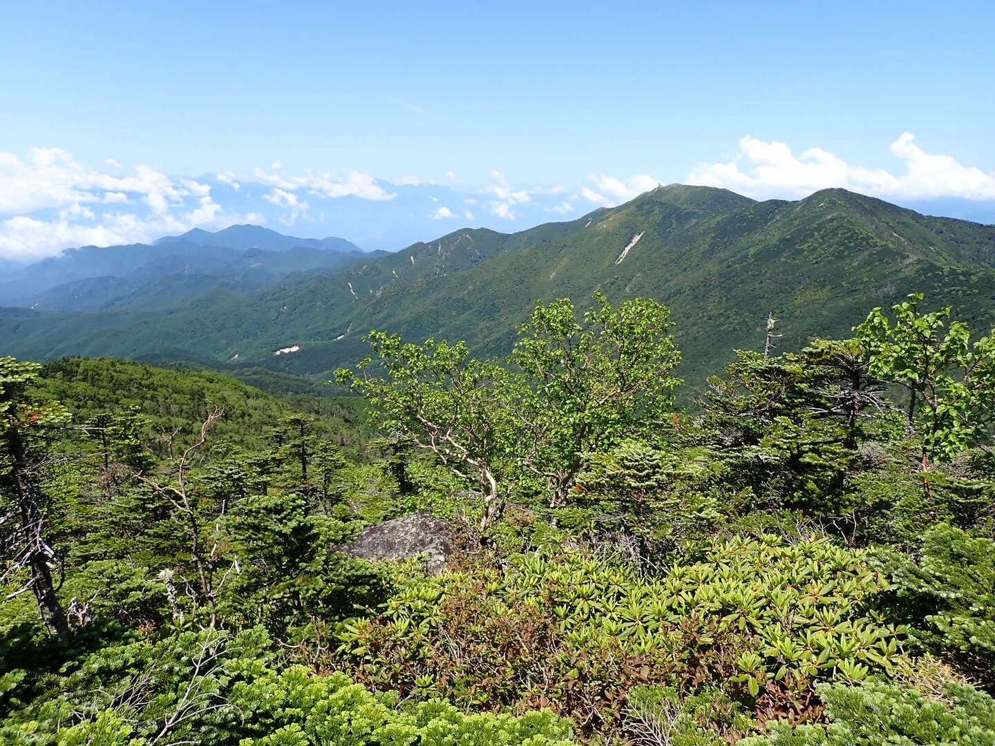 奥千丈岳〜金峰山周回(アコウ平から)⛰️ / reoさんの瑞牆山・金峰山の活動日記 | YAMAP / ヤマップ