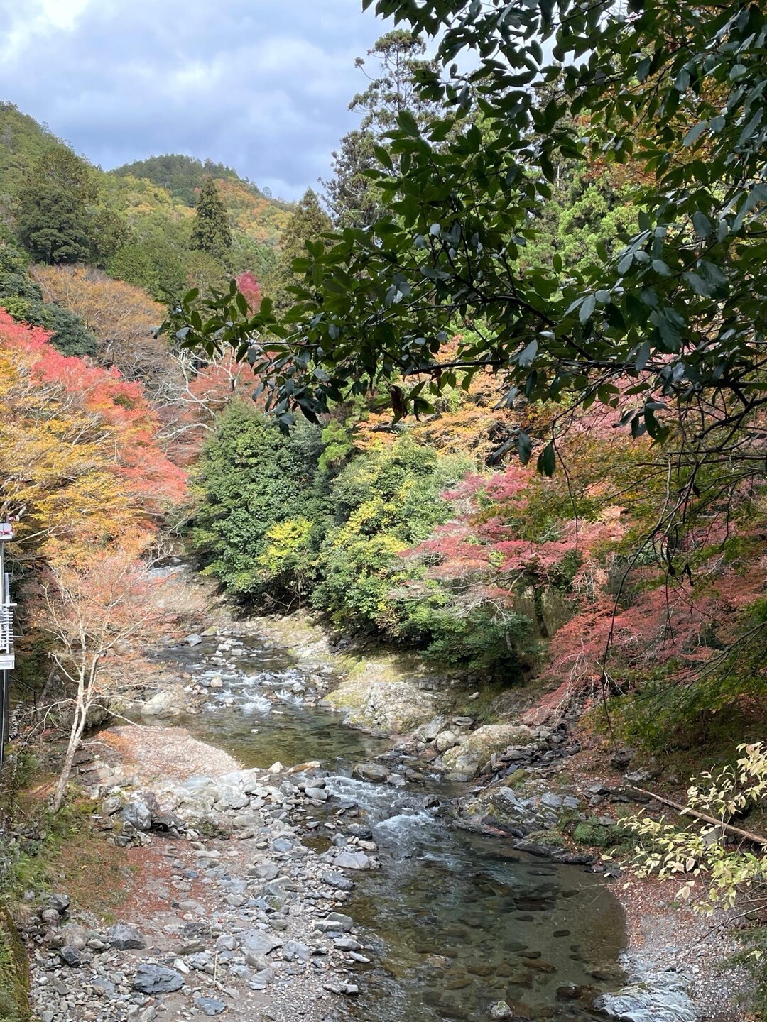 北山西部 鷹峯から高雄 / honensanさんの京都一周トレイルの活動データ | YAMAP / ヤマップ